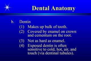 Verona Dental Presents Dental Anatomy By Jim Emms | PPT