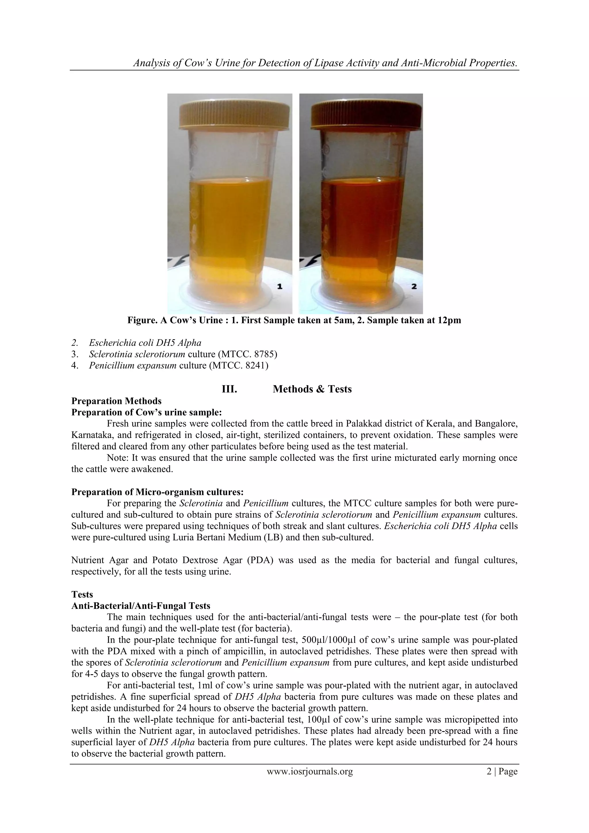 Analysis of Cow’s Urine for Detection of Lipase Activity and Anti ...