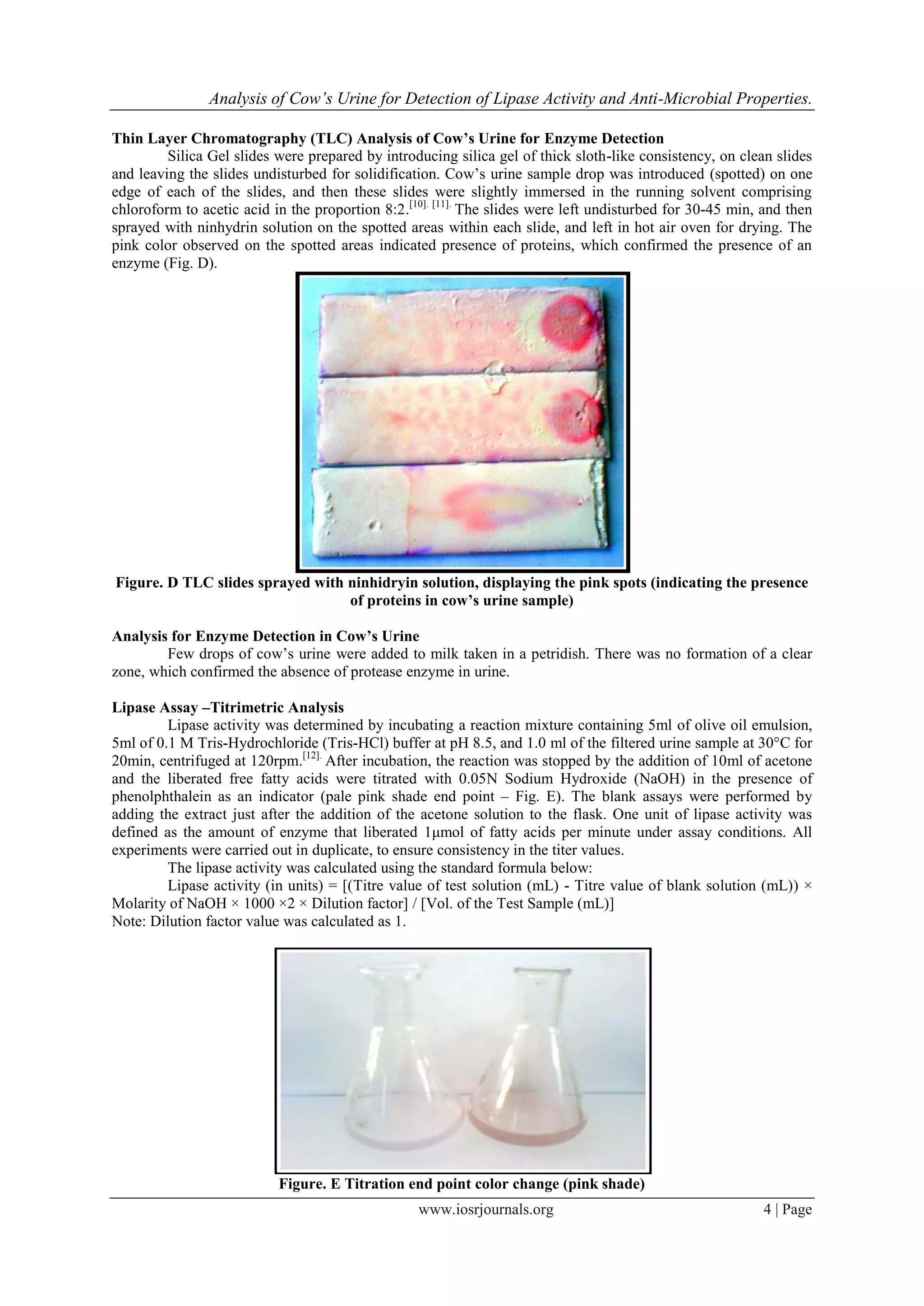 Analysis of Cow’s Urine for Detection of Lipase Activity and Anti ...