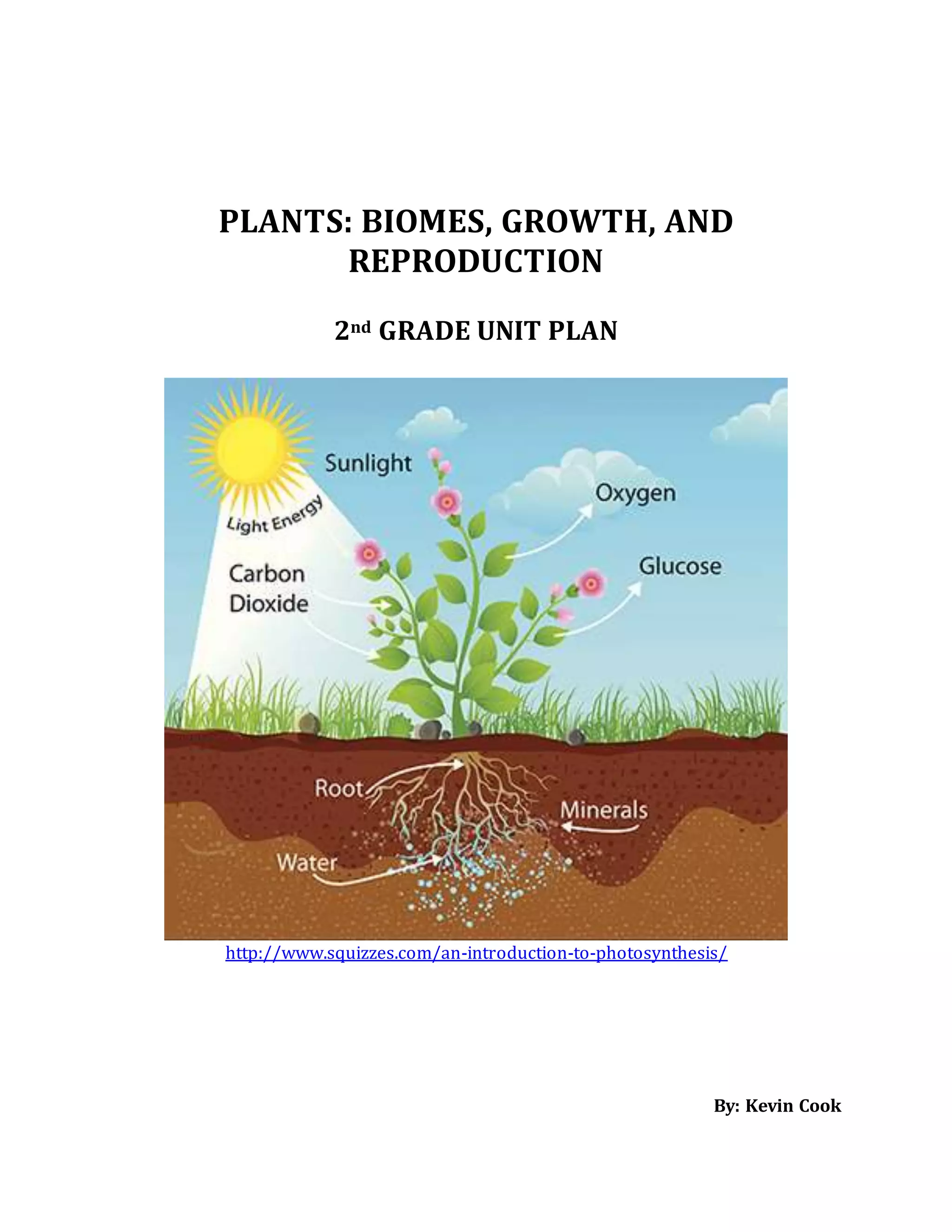 UNIT PLAN 495 | DOCX