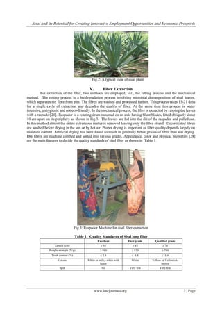 Sisal and its Potential for Creating Innovative Employment ...