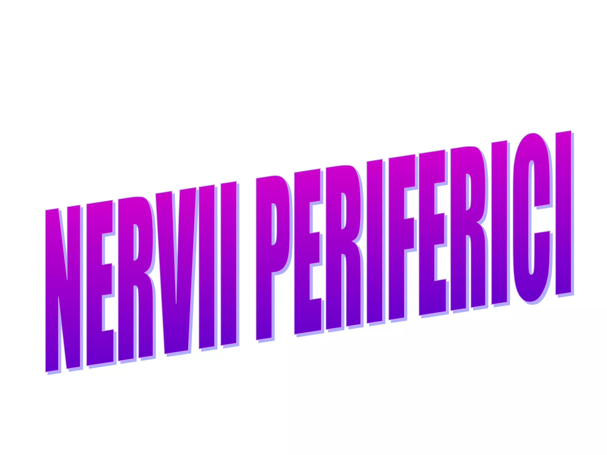 Atlas de neuroanatomie - nervi periferici | PPT