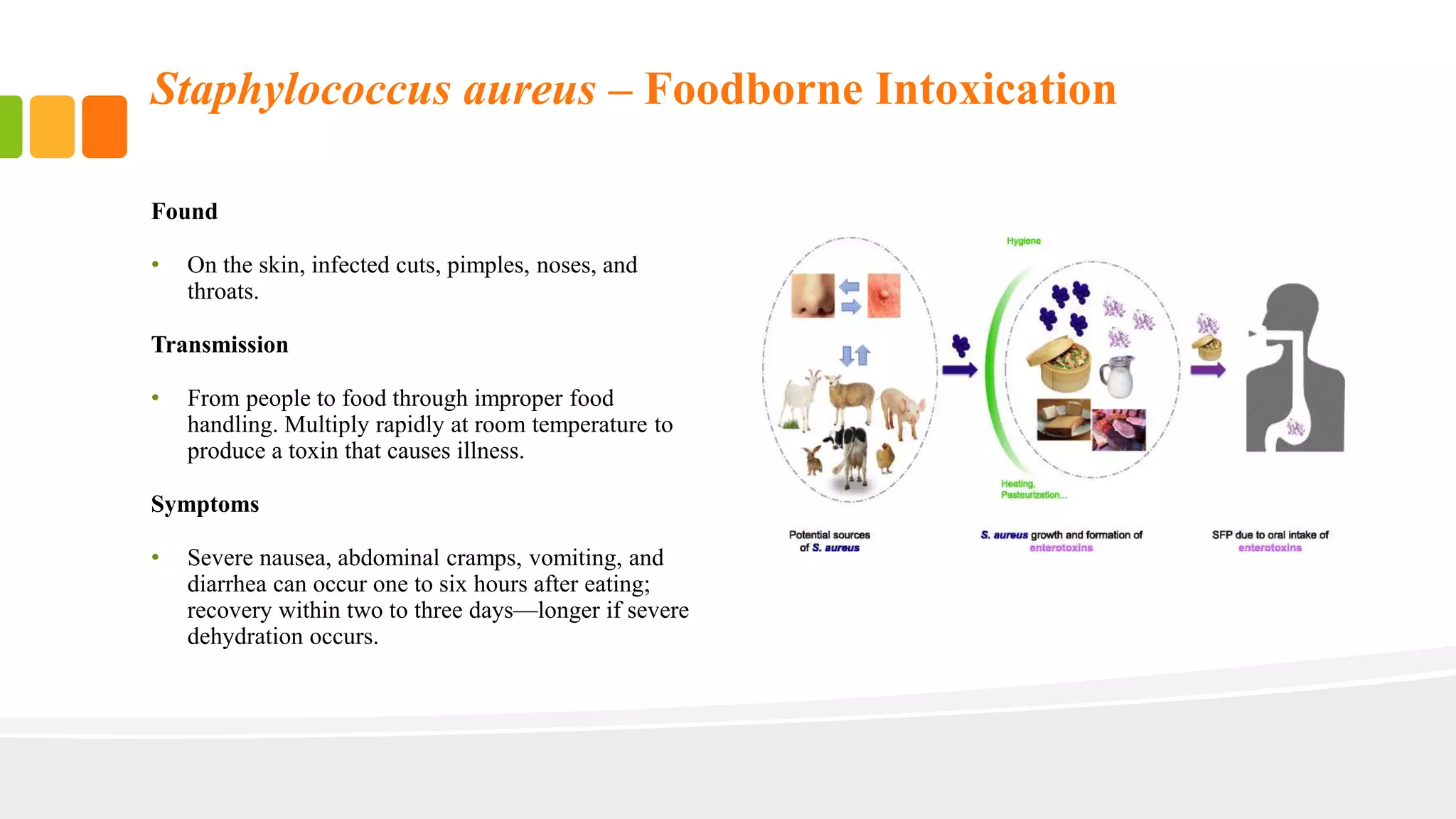 A0999320005 food infection vs food intoxication | PPTX