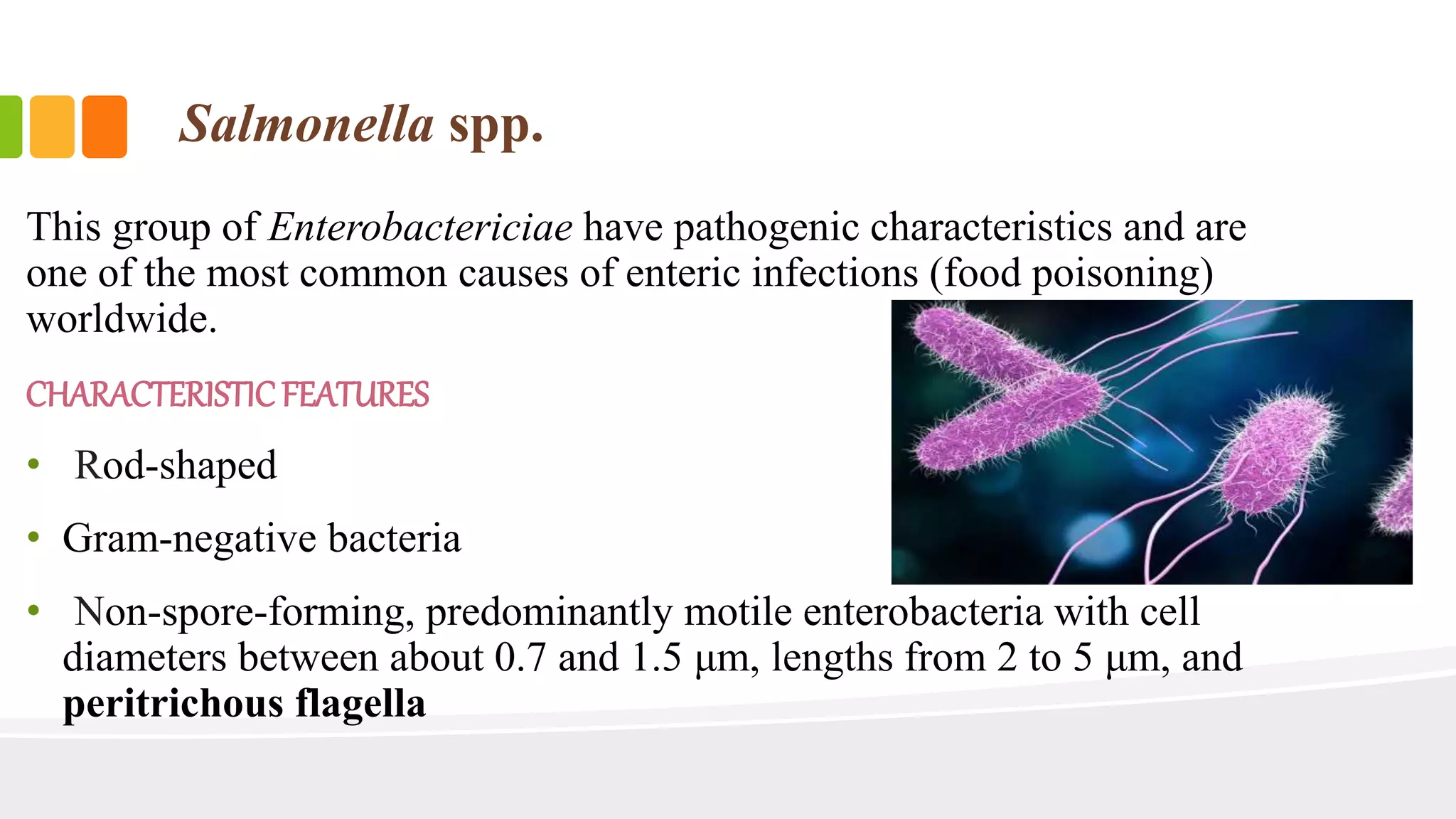 food infection vs food intoxication | PPTX