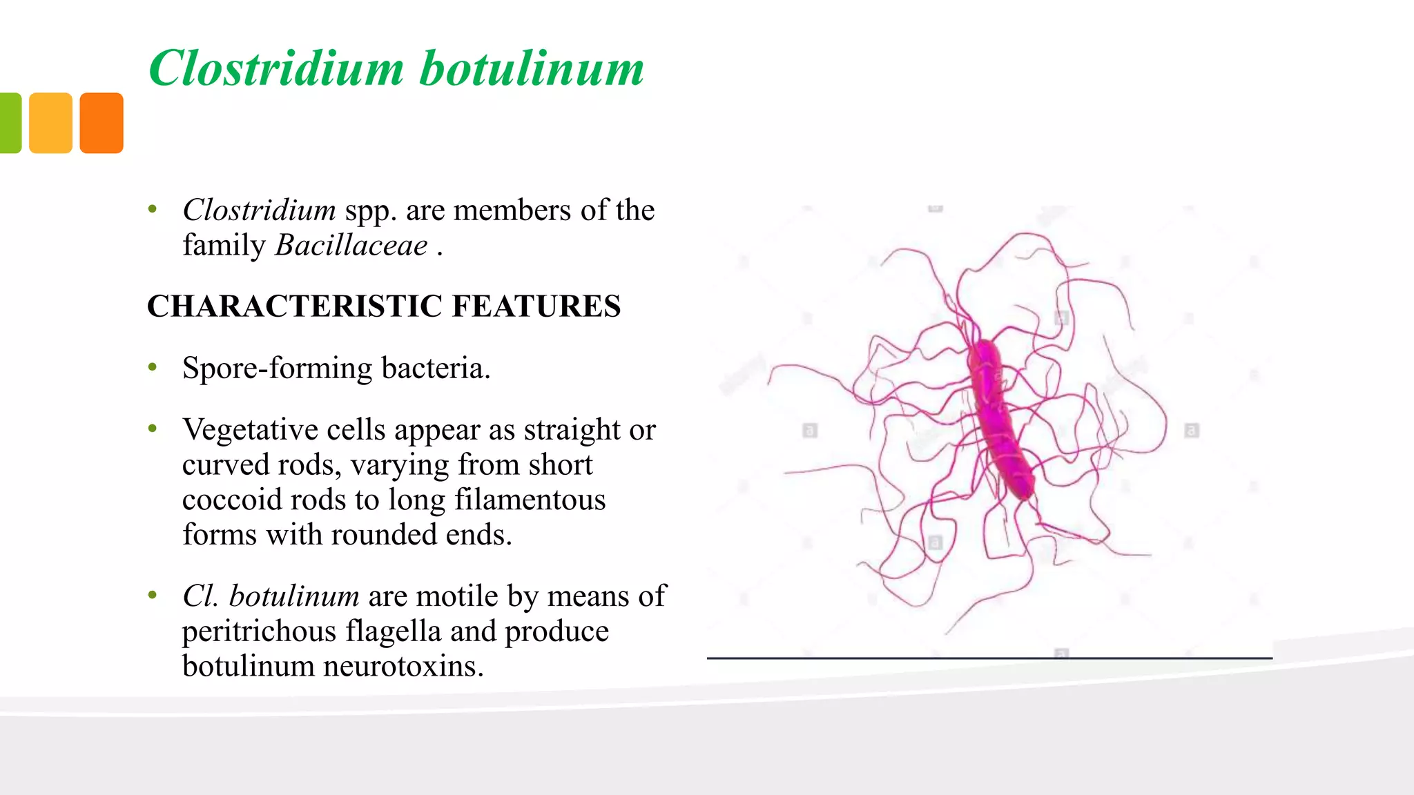 food infection vs food intoxication | PPTX