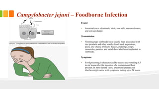 food infection vs food intoxication | PPTX