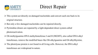 DNA Damage and repair mechanism | PPTX
