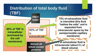 FLUID MANAGEMENT | PPTX