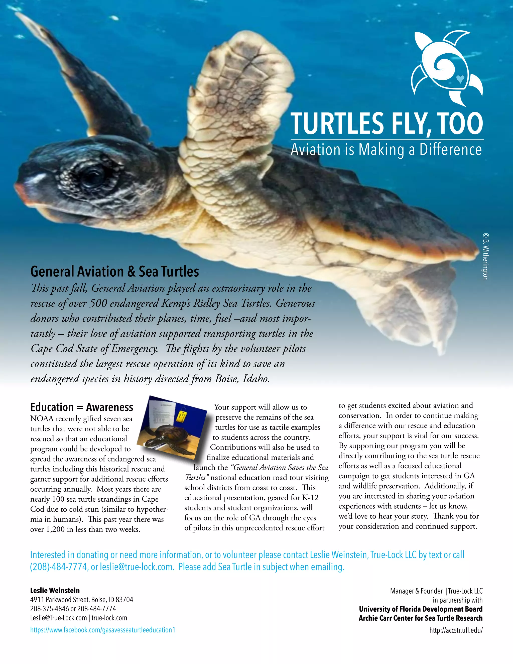 Sea Turtle Education Program Leslie Weinstein | PDF