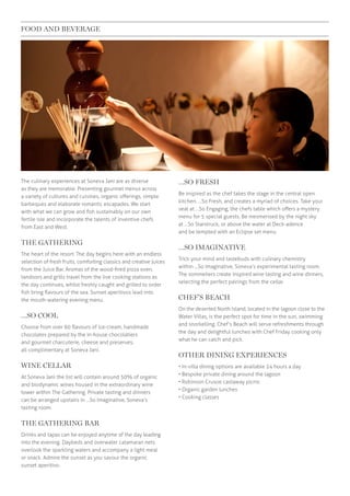 SONEVA FACTSHEET MARCH 2016 | PDF