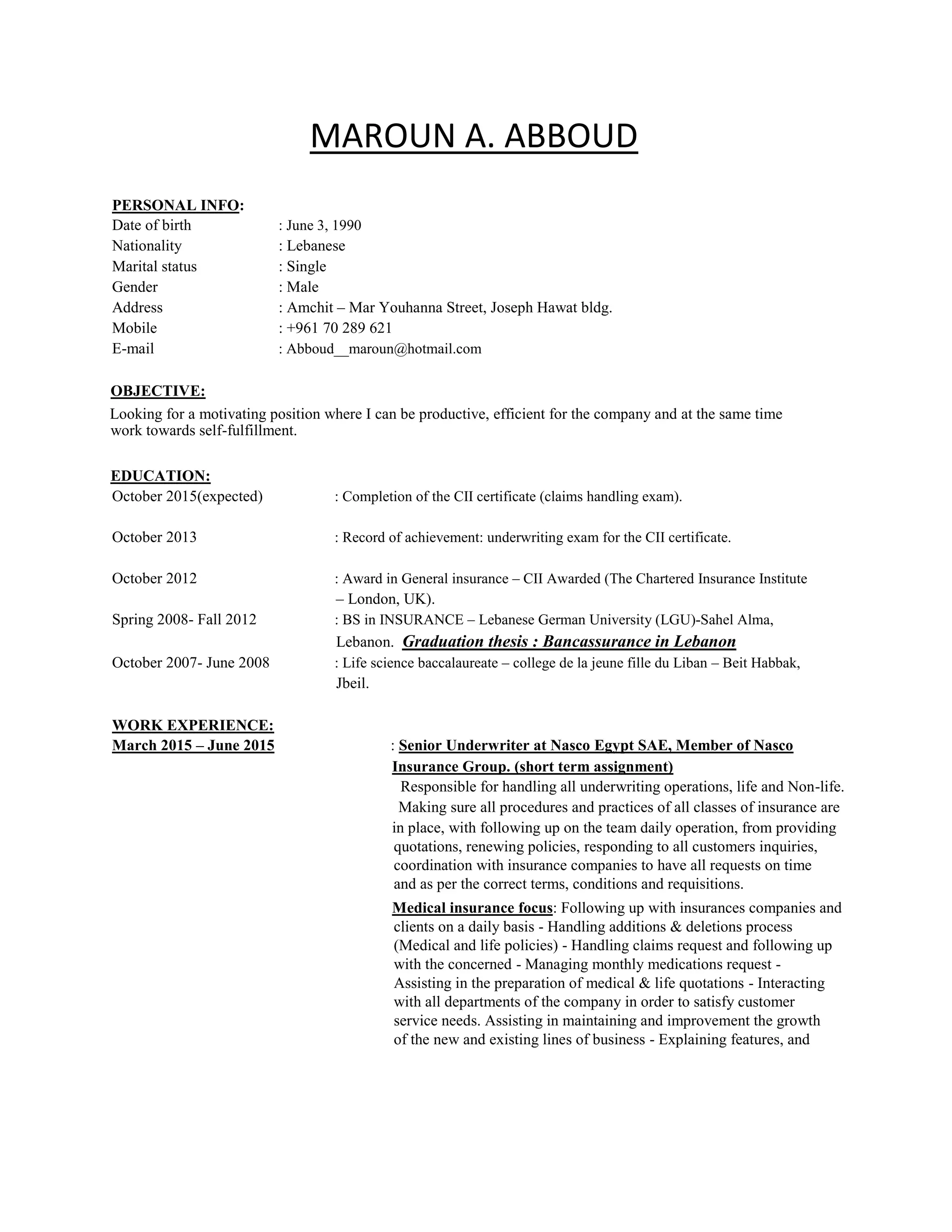 CV (MAROUN ABBOUD) - Copy (2) | PDF