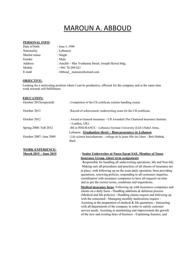 CV (MAROUN ABBOUD) - Copy (2) | PDF | Insurance | Personal Finance