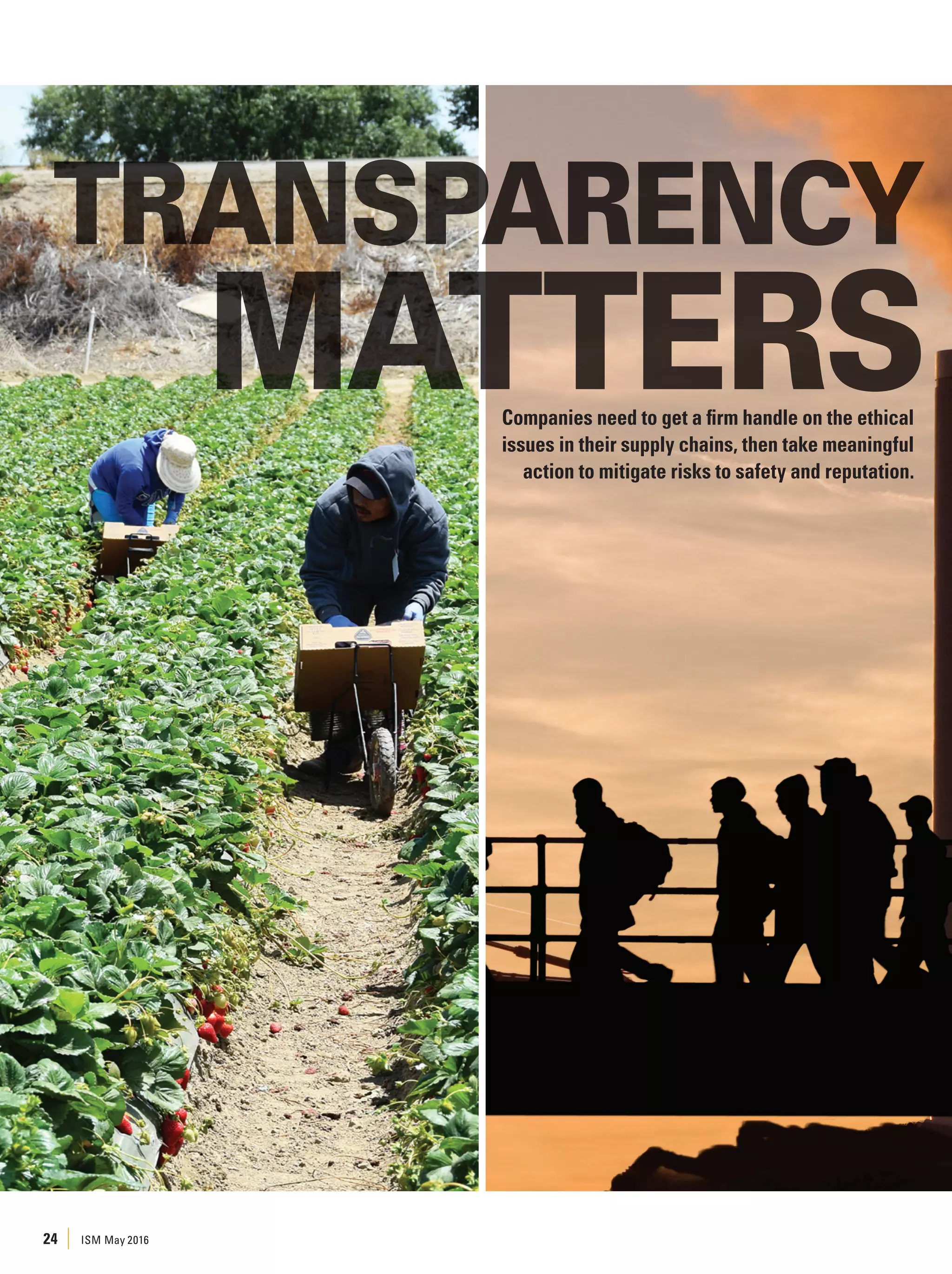 Transparency Matters | PDF