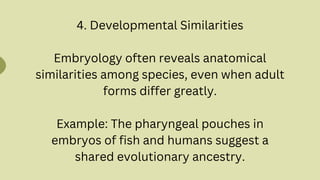 Comparitive Anatomy.ASR homeopathic college | PPT