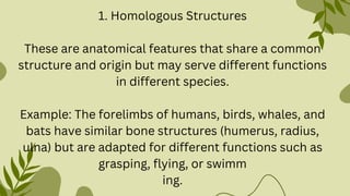 Comparitive Anatomy.ASR homeopathic college | PPT