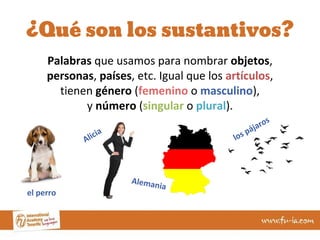 Los sustantivos en español: singular y plural - corregido | PDF