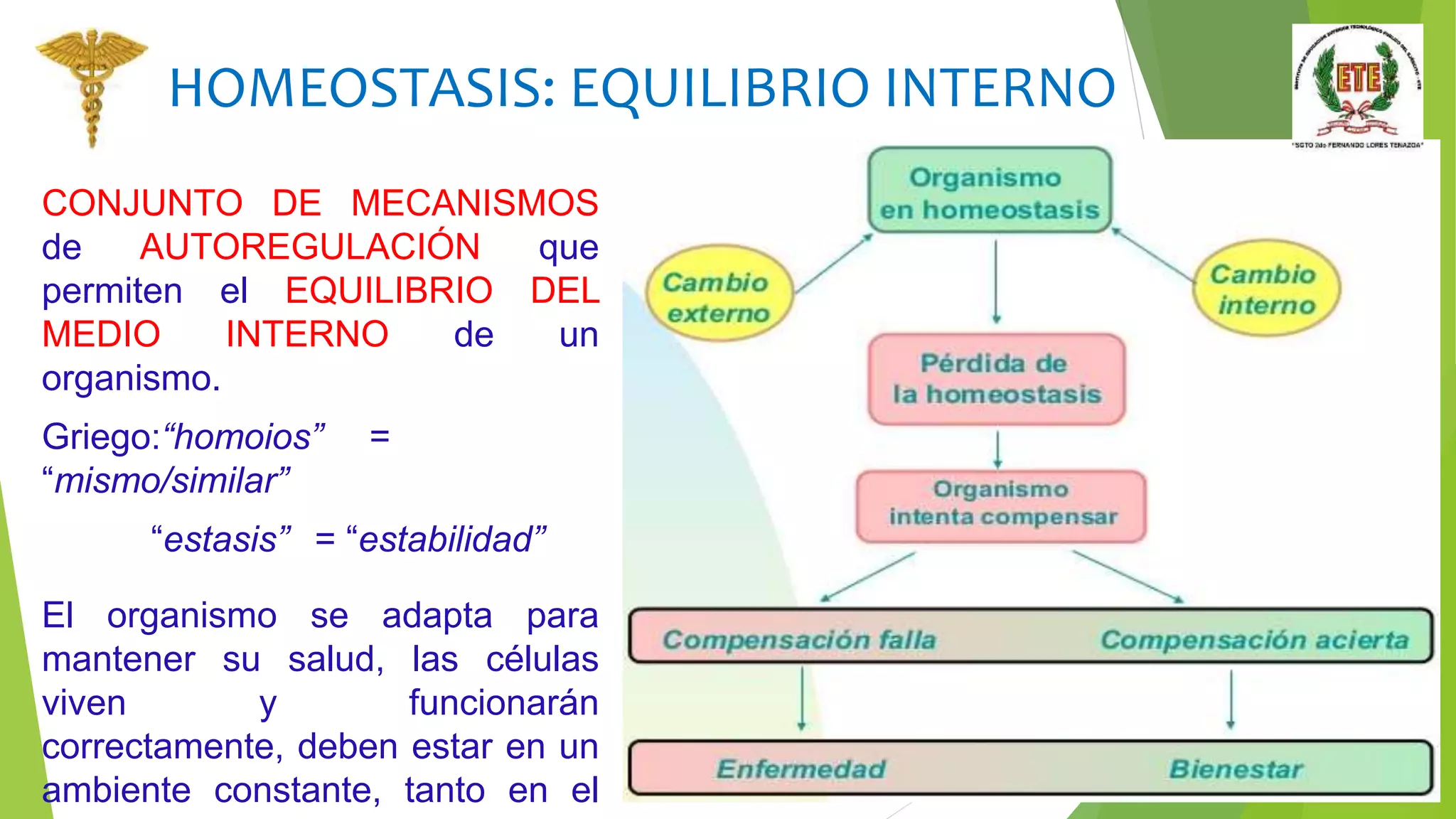 A1-1 Estructura anatómica del ser humano.pptx | Biological Sciences ...