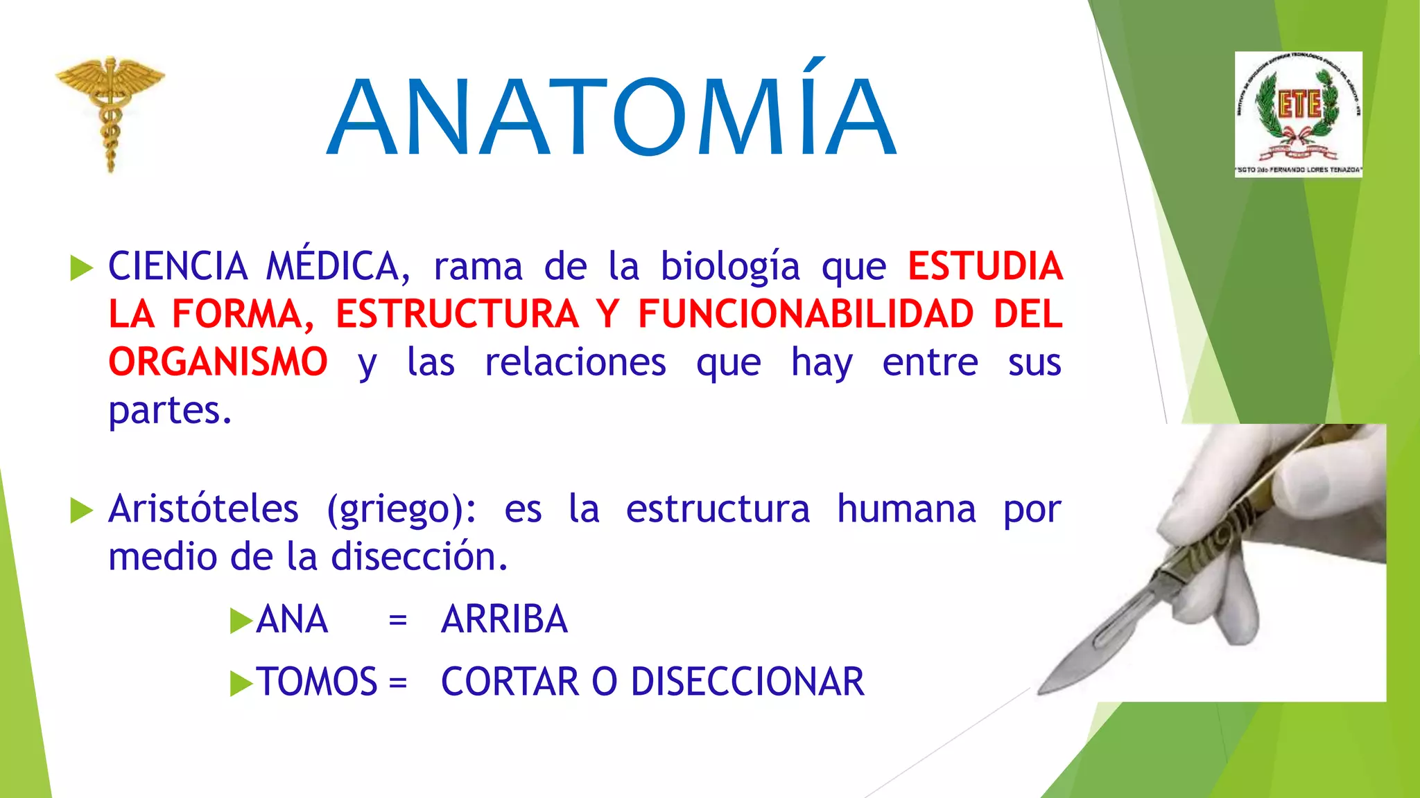 A1-1 Estructura anatómica del ser humano.pptx | Biological Sciences ...