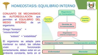 A1-1 Estructura anatómica del ser humano.pptx