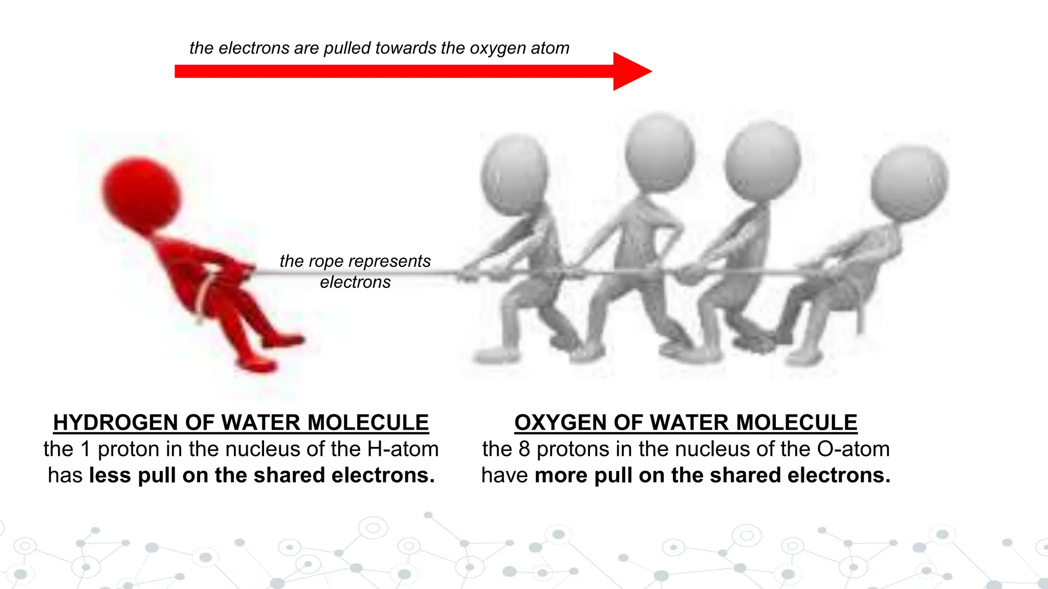 A1.1.2.pptx water - hydrogen bonding of water | PPT