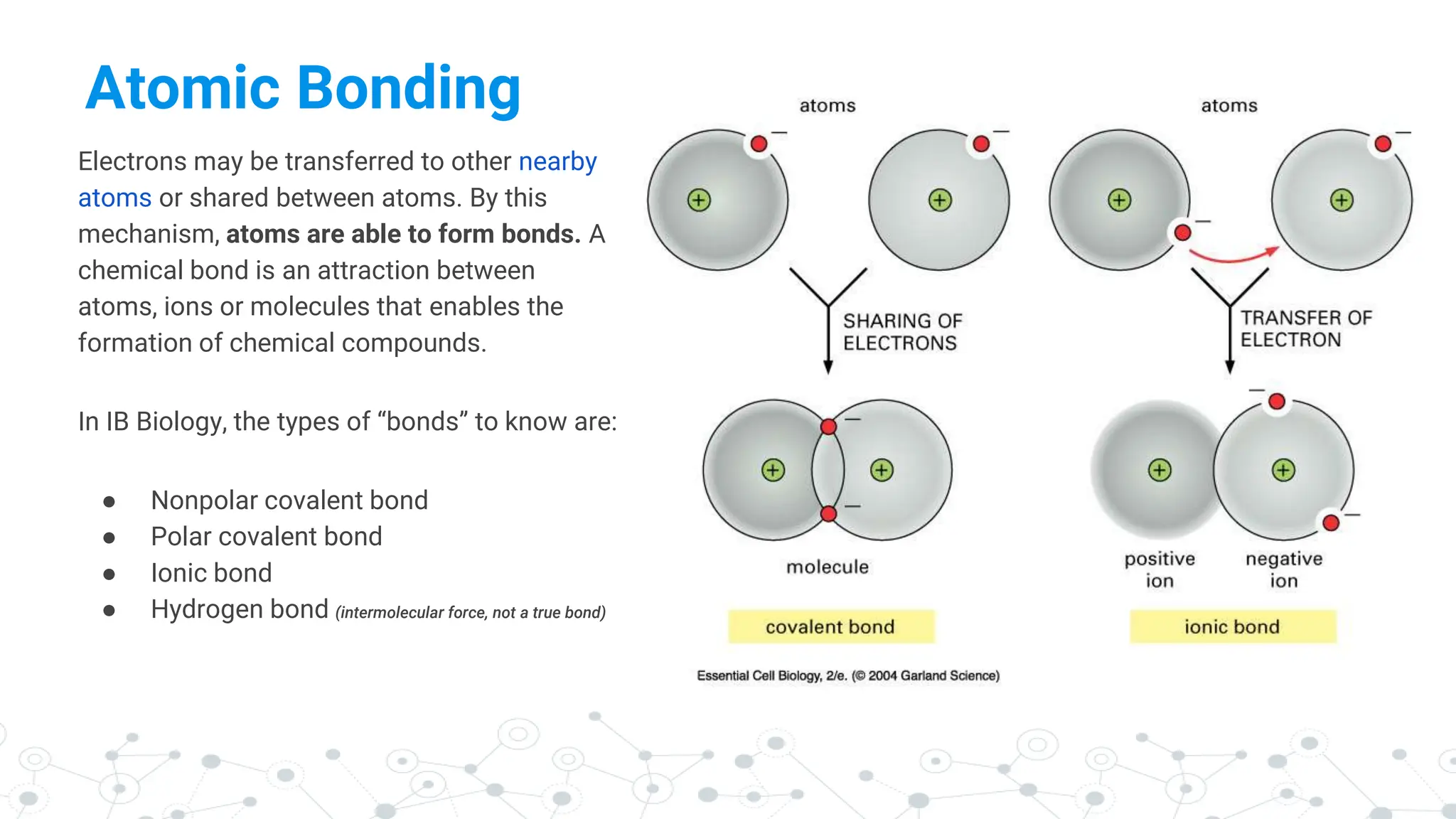 A1.1.2.pptx water - hydrogen bonding of water | PPTX