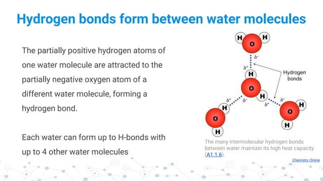 A1.1.2.pptx water - hydrogen bonding of water | PPT