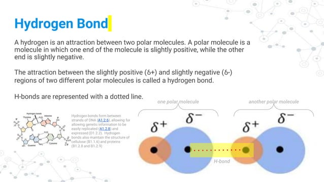 A1.1.2.pptx water - hydrogen bonding of water | PPT