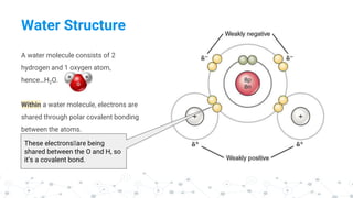 A1.1.2.pptx water - hydrogen bonding of water | PPT