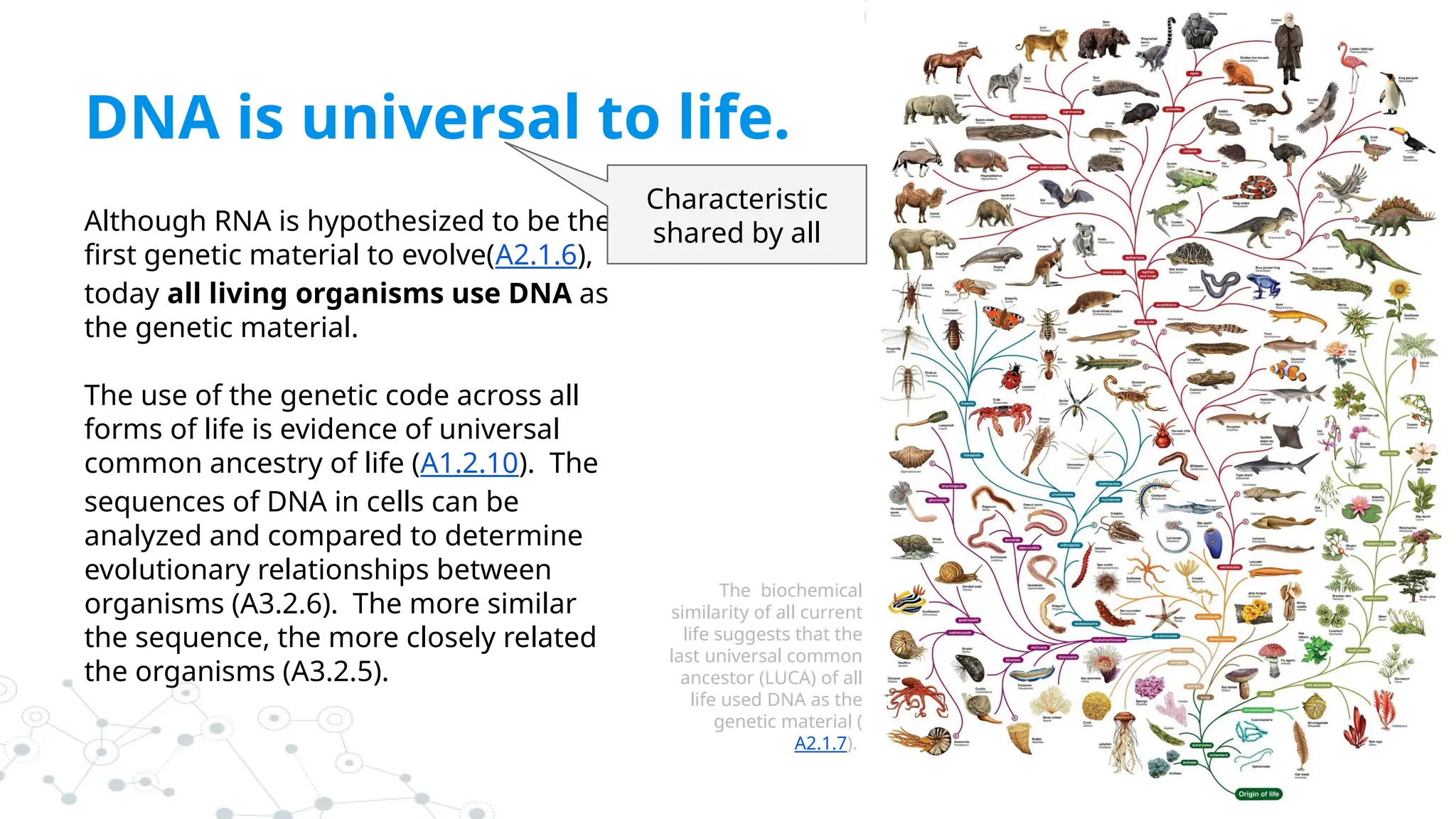 A1.2.1.pptx-DP Biology -DNA is the Genetic Material | PPTX