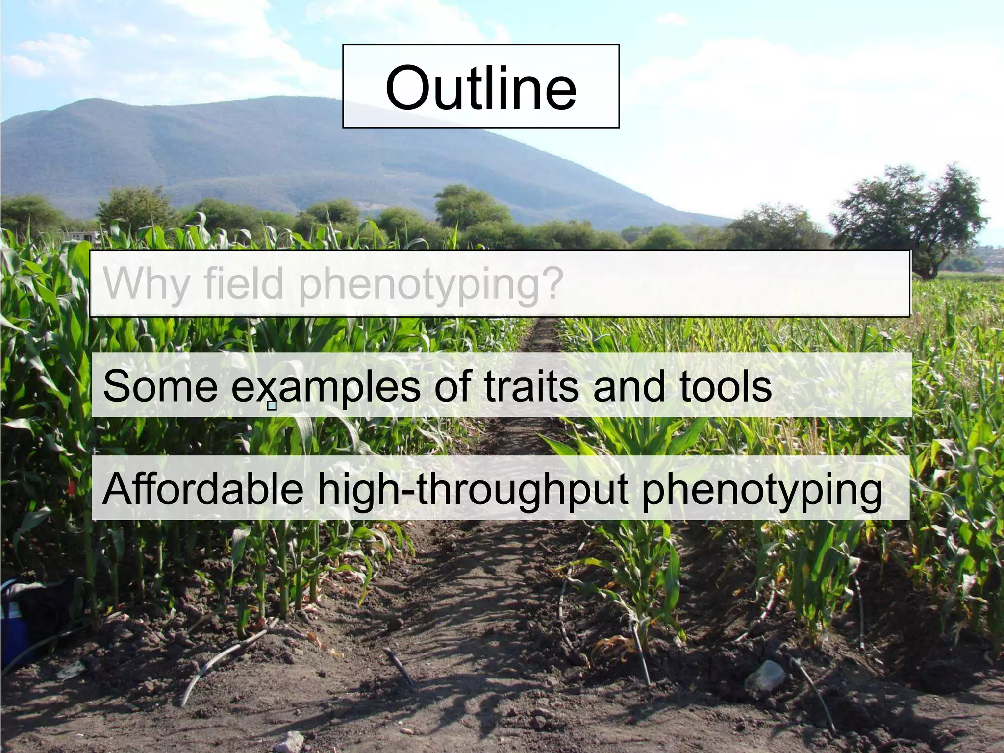 Affordable field high-throughput phenotyping - some tips | PPTX