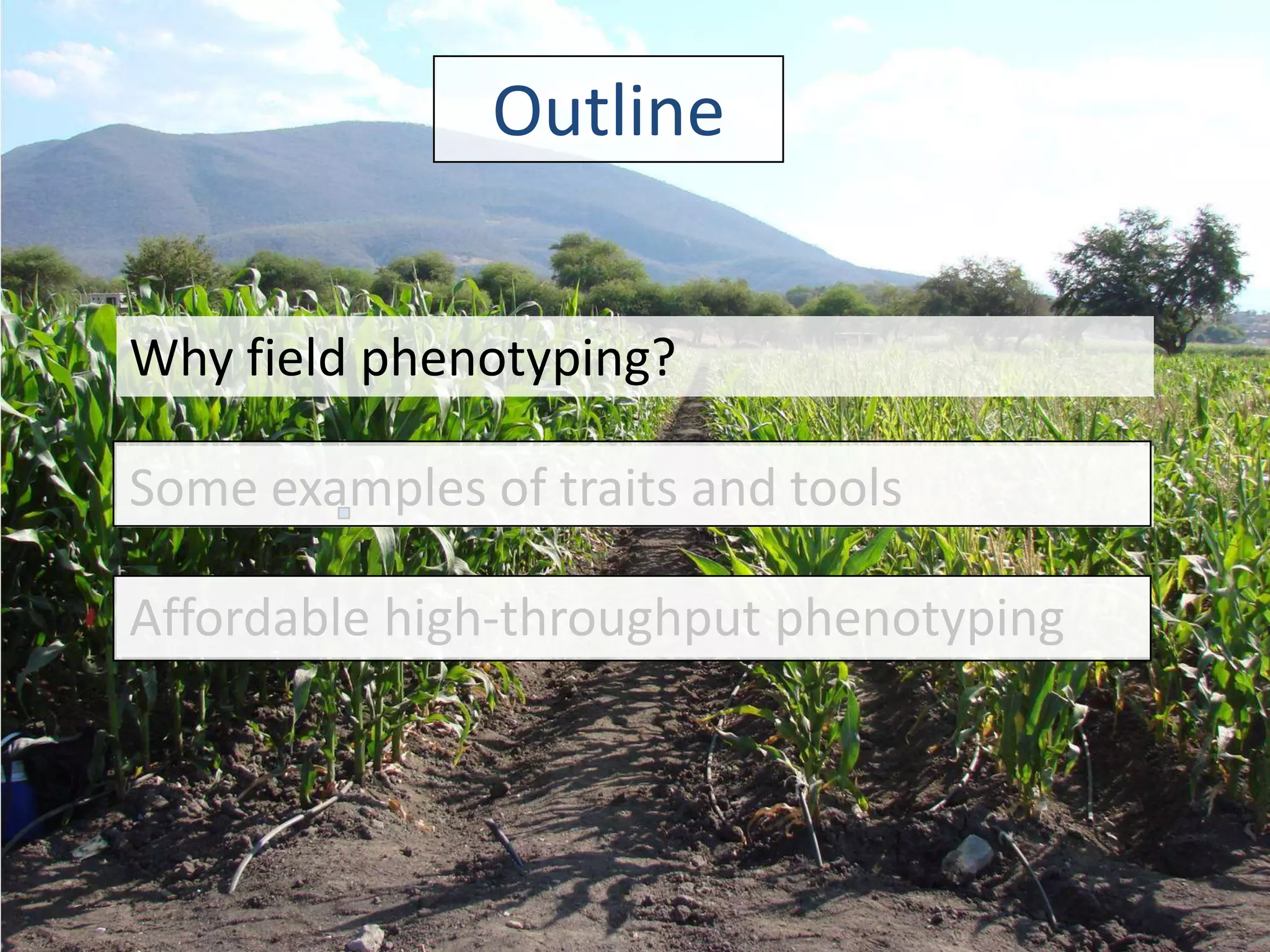 Affordable field high-throughput phenotyping - some tips | PPTX
