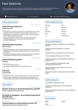 Faez's Mini CV | PDF