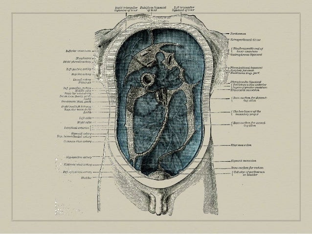 Disease of the Peritoneum and Retroperitoneum