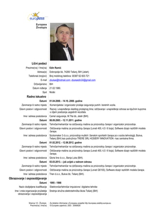 Edin Ramic CV | DOC