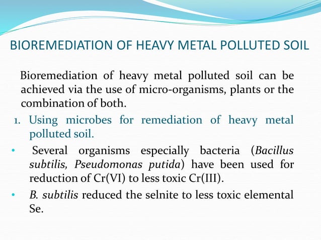 A1304539646_21901_25_2017_BIOREMEDIATION OF HEAVY METAL POLLUTED SOIL.ppt