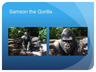 RIWC_PARA_A132 Universal Design in Zoological Settings | PPTX