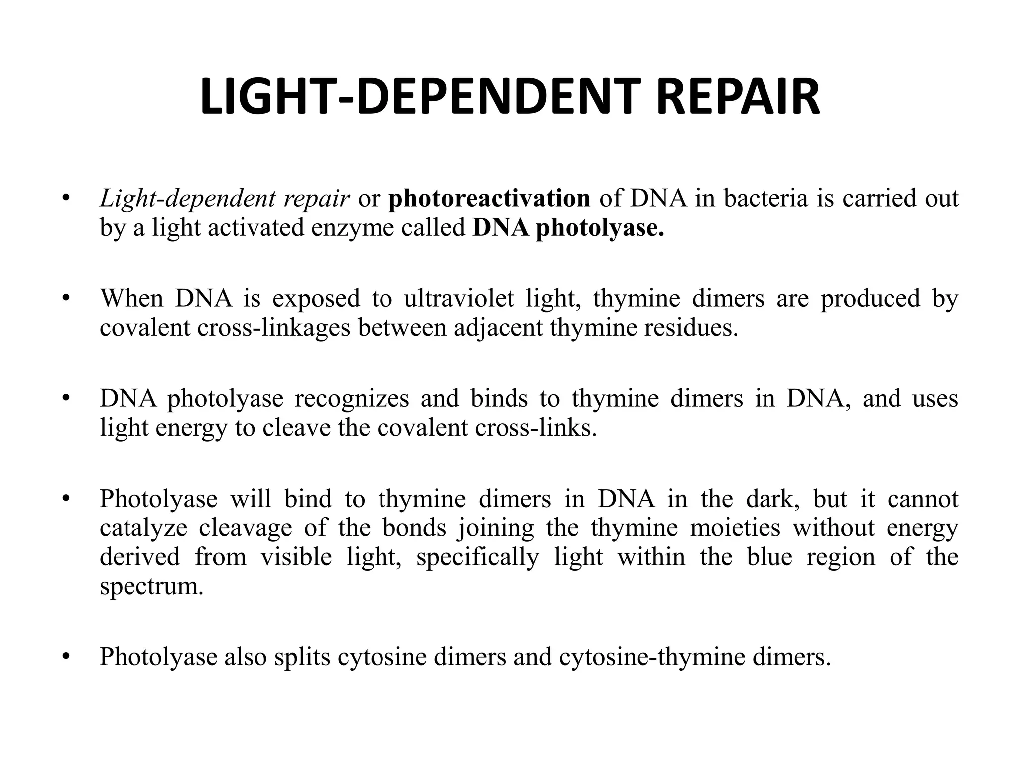 Dna repair | PPT