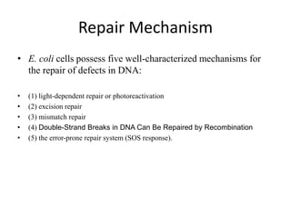 Dna repair | PPT