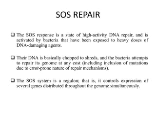 Dna repair | PPT