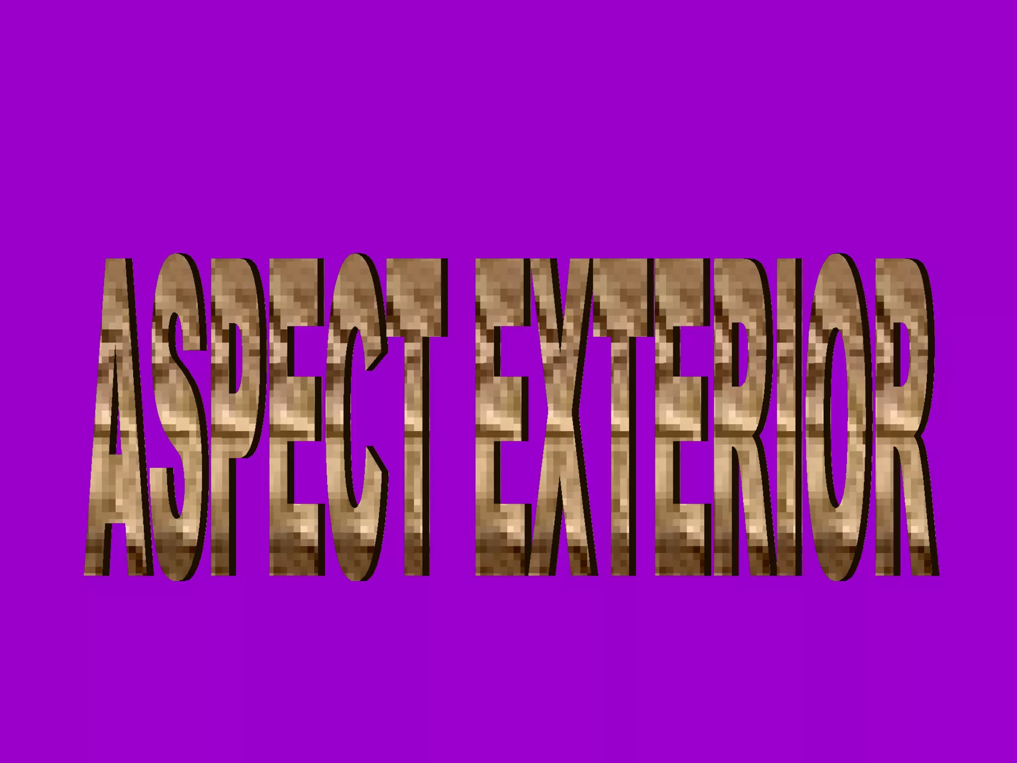 Cortex atlas de neuroanatomie | PPT