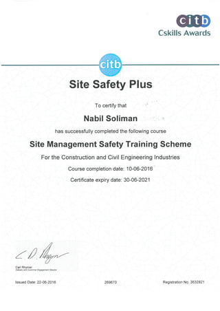 Nabil Soliman SMSTS | PDF