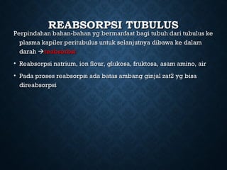 konsep_sistem perkemihan_kuliah_BACA.ppt