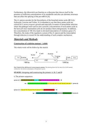 rli60 project FINAL | PDF