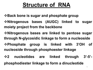 A1855802565_23691_27_2019_RNA and its types.pdf