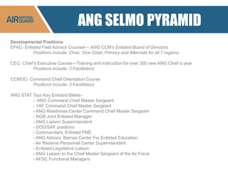 12 ANG SELMO Pyramid ADJ NEW 8 Nov | PDF