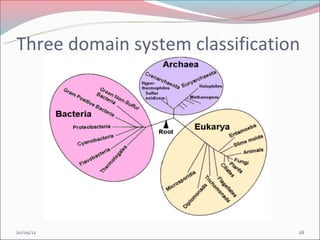 (A) 1 bacterial classification schemes new | PPT