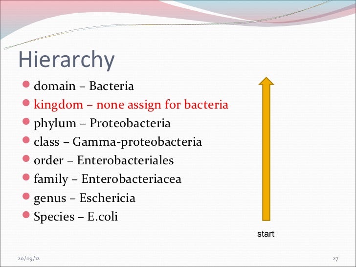Chapter 9 Intro To Taxonomy Microbiology Biol 251 With