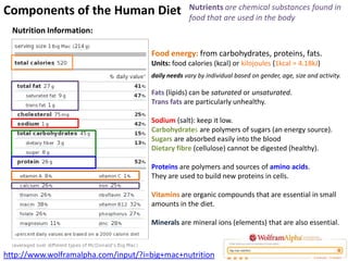 Components of the Human Diet | PPT