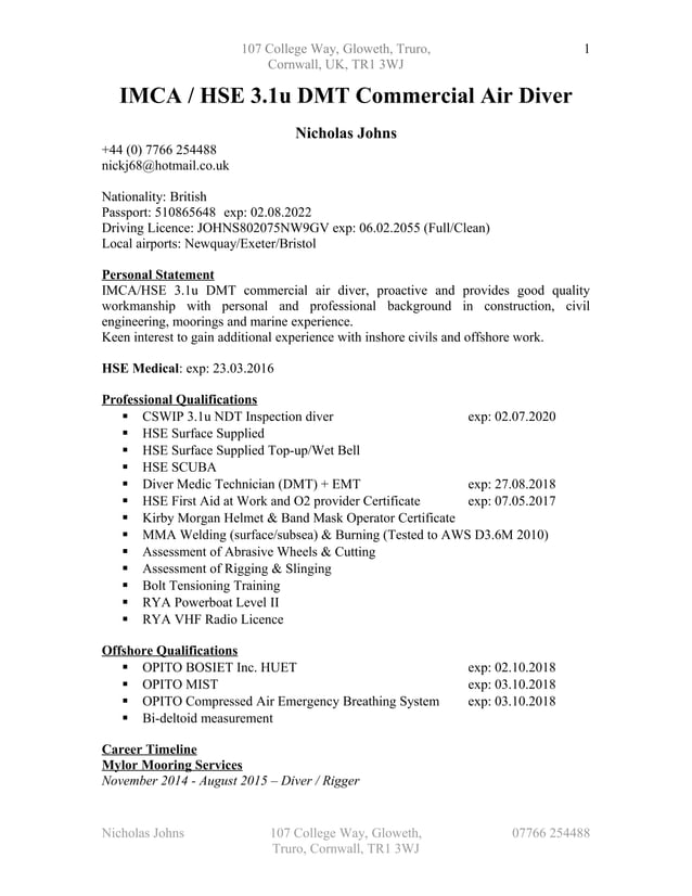 HSE Commercial Air Diver CV | DOC
