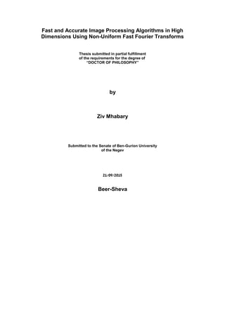 Ziv_Thesis | PDF